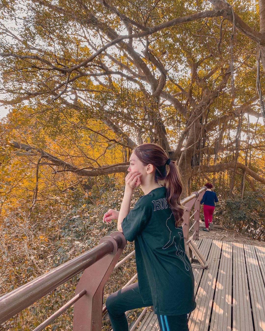 南部山林秘境TOP7│揭開大自然的神秘面紗！ - GOMAJI夠麻吉