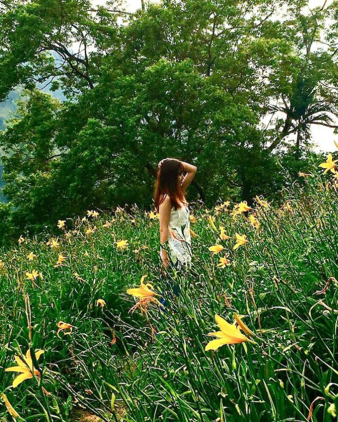 中部休閒農場推薦｜採果、餵動物、DIY必去11選- GOMAJI夠麻吉