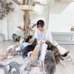 台南灣裡一日遊攻略｜秘境景點、在地美食TOP9 - GOMAJI夠麻吉