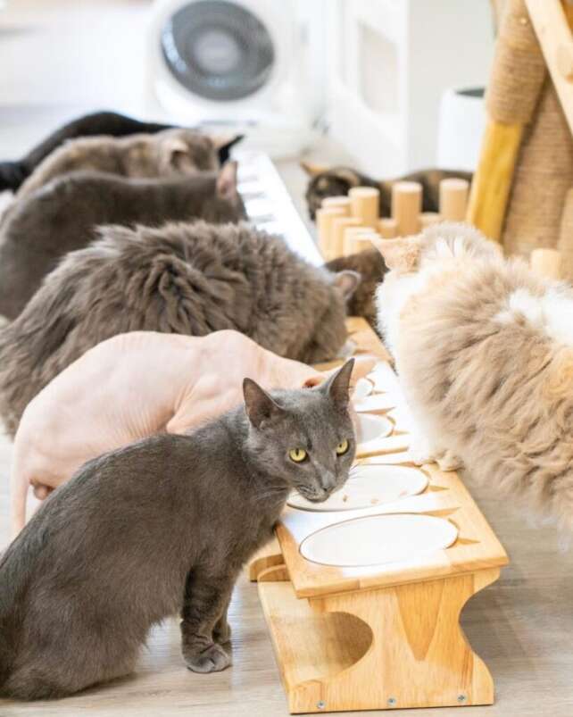 台南灣裡一日遊攻略｜秘境景點、在地美食TOP9 - GOMAJI夠麻吉