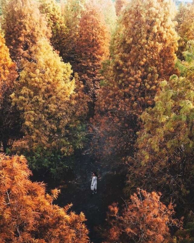 彰化大村景點一日遊｜意想不到的秘境景點TOP10 - GOMAJI夠麻吉