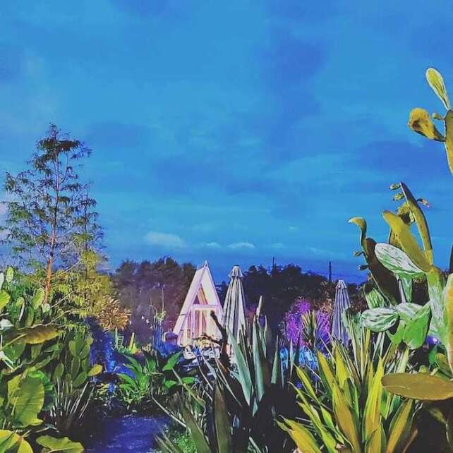 高雄大寮景點地圖｜一日漫遊小鎮必去秘境TOP10 - GOMAJI夠麻吉