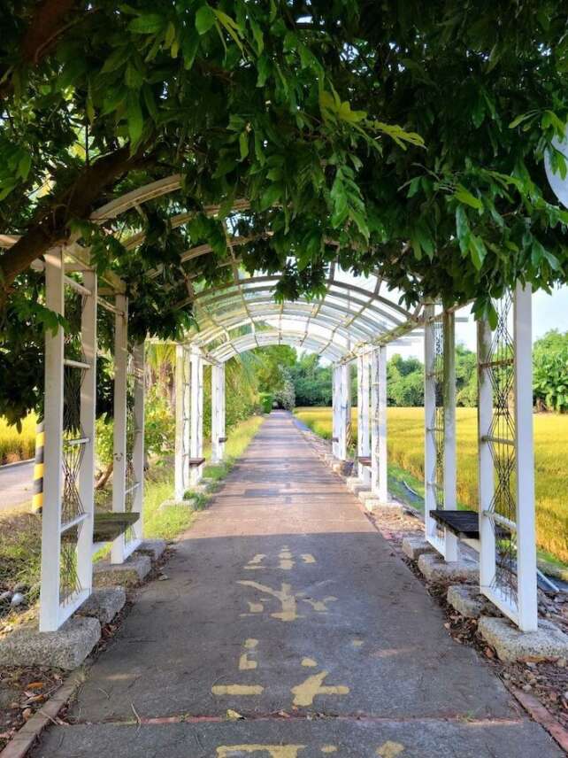 嘉義大林景點地圖｜一日遊攻略！10大打卡勝地 - GOMAJI夠麻吉