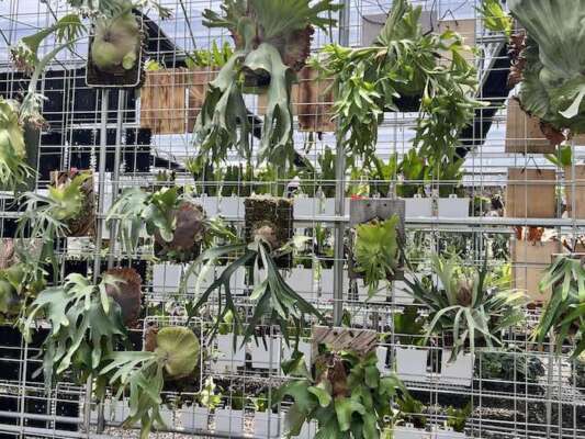 高雄湖內景點推薦｜漫遊攻略！必訪秘境TOP10 - GOMAJI夠麻吉