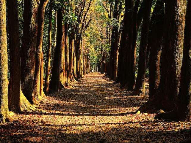 高雄內門景點攻略｜必收！深度探索山城秘境10選 - GOMAJI夠麻吉